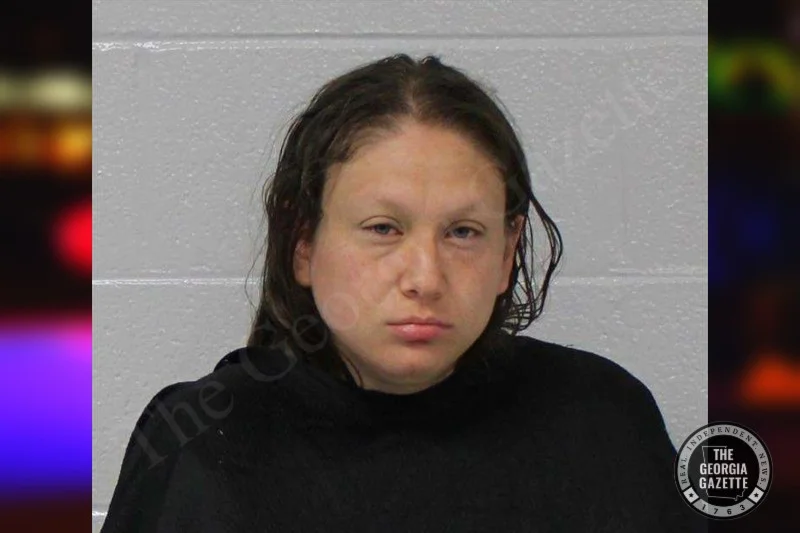 Brandy Johnson — Carroll County Jail Bookings