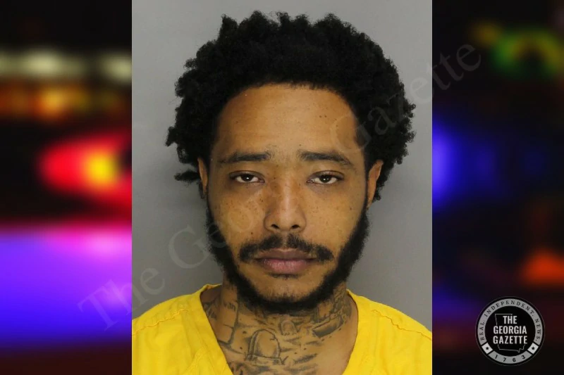 Jan Lewis — Cobb County Jail Bookings