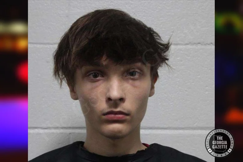 Sean Little — Habersham County Jail Bookings