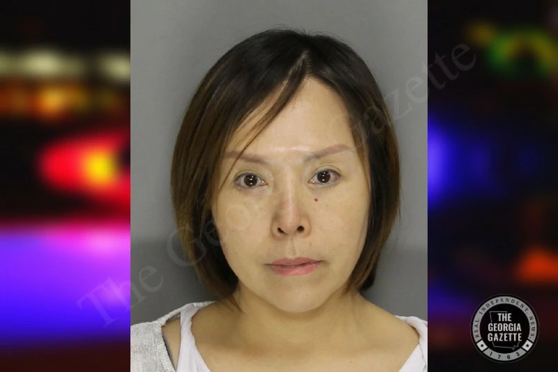 Haiyan Lu — Cobb County Jail Bookings