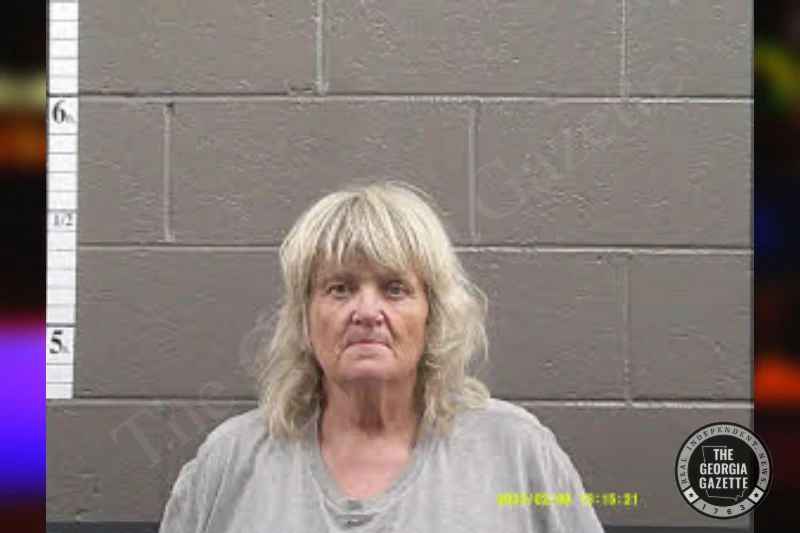 Mary Collins — Banks County Jail Bookings