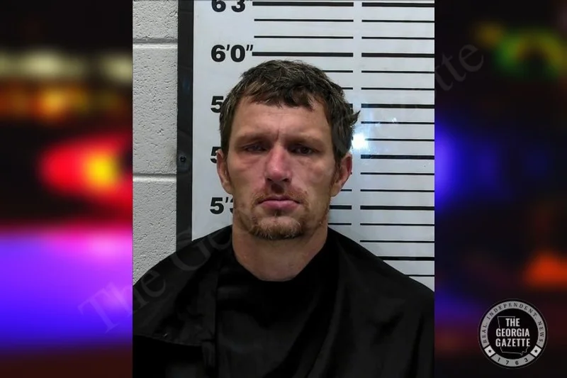 Jeremy Manning — Hart County Jail Bookings