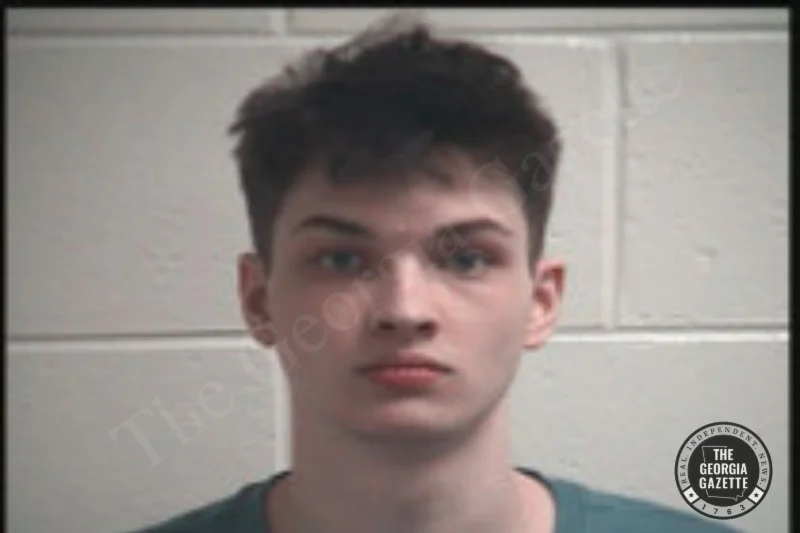Logan McFall — Henry County Jail Bookings