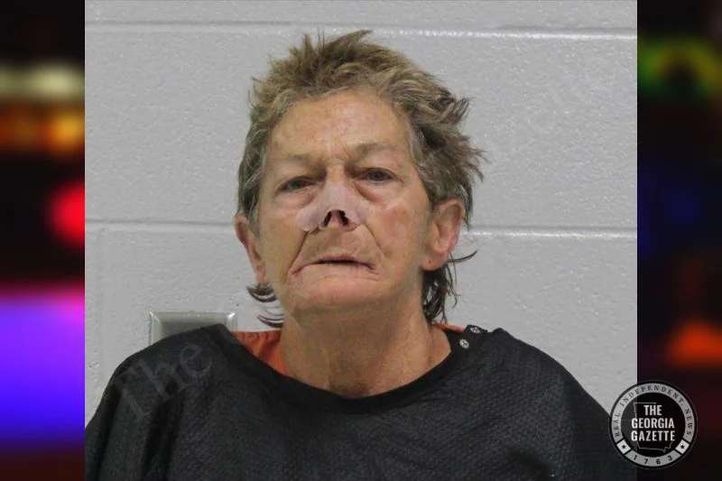 Cynthia Rigsby — Carroll County Jail Bookings