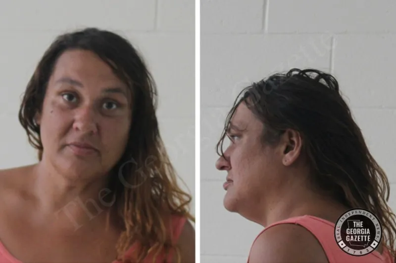 Lisa Strong — Houston County Jail Bookings