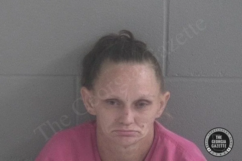 Bebe Cramer — Brantley County Jail Bookings
