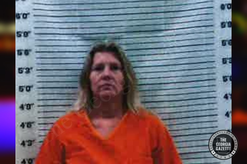 Bridget Caputi — Pickens County Jail Bookings