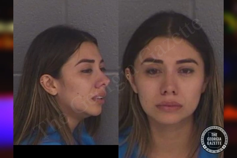 Leslie Ceballos Mendoza — Barrow County Jail Bookings