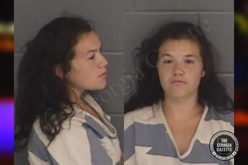 Ansley Chrnalogar — Barrow County Jail Bookings