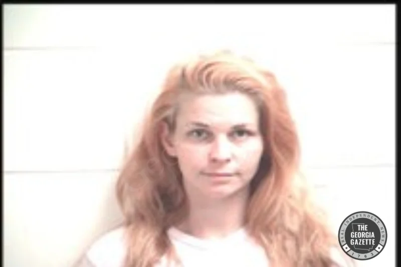 Crystal Cook — Henry County Jail Bookings