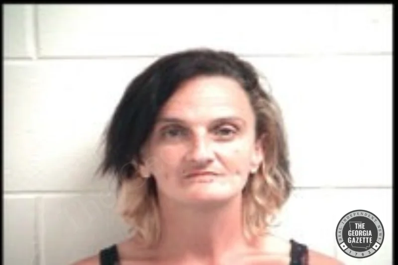 Brittney Hilder — Henry County Jail Bookings