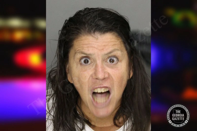 Lisa Lenn — Cobb County Jail Bookings