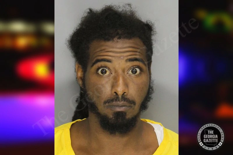 Allison Lockhart — Cobb County Jail Bookings