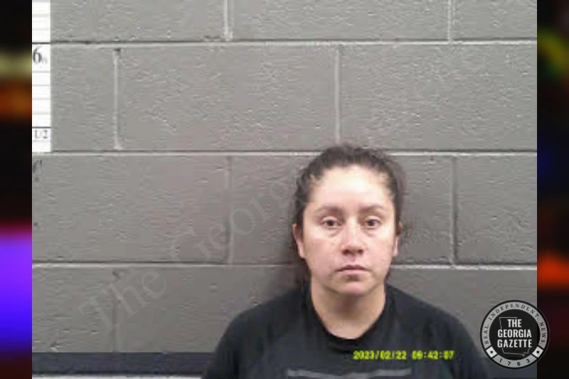 Maria Albarran — Banks County Jail Bookings