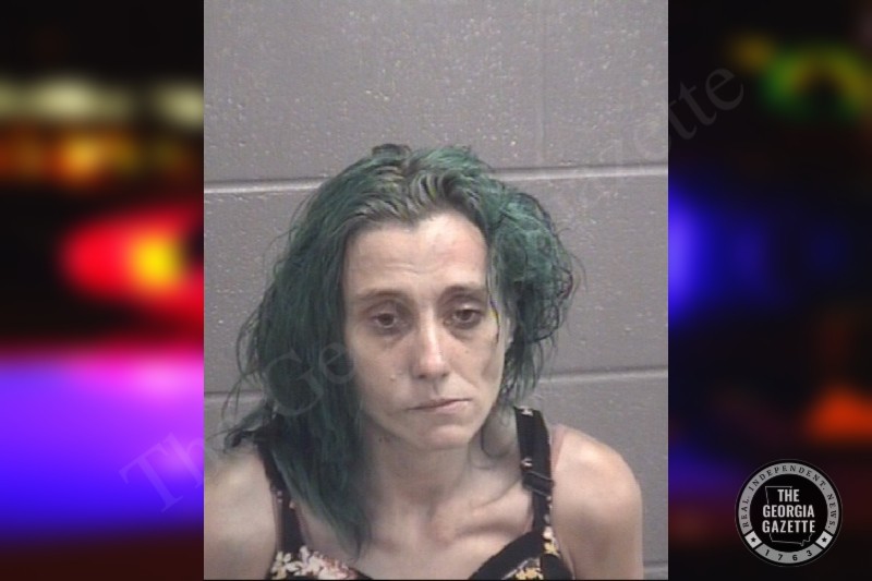 Laura Sneed — Spalding County Jail Bookings