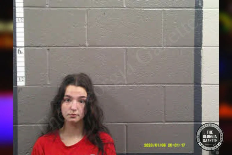 Talayla Gilroy — Banks County Jail Bookings
