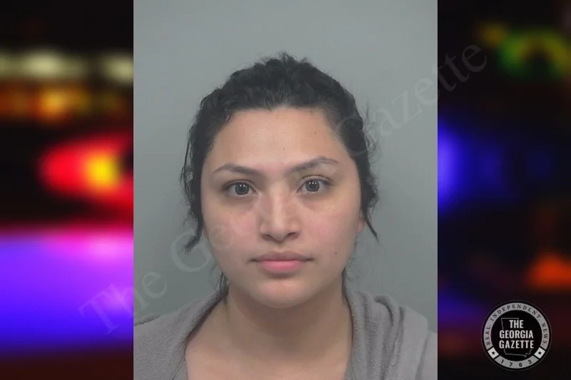 Itzmenia Villafana — Gwinnett County Jail Bookings
