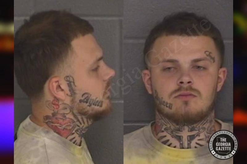 Tyler Wynn — Barrow County Jail Bookings