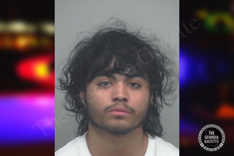 David Andino | Gwinnett County Jail Bookings