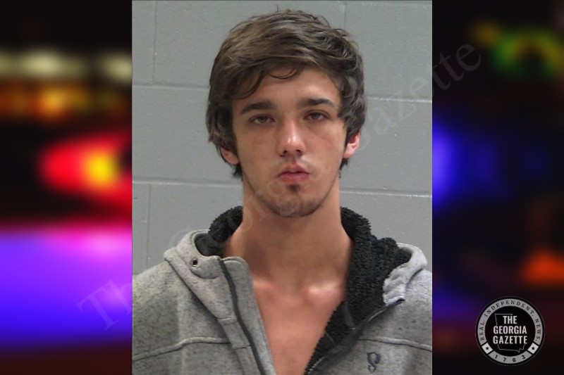 John Bridges — Baldwin County Jail Bookings