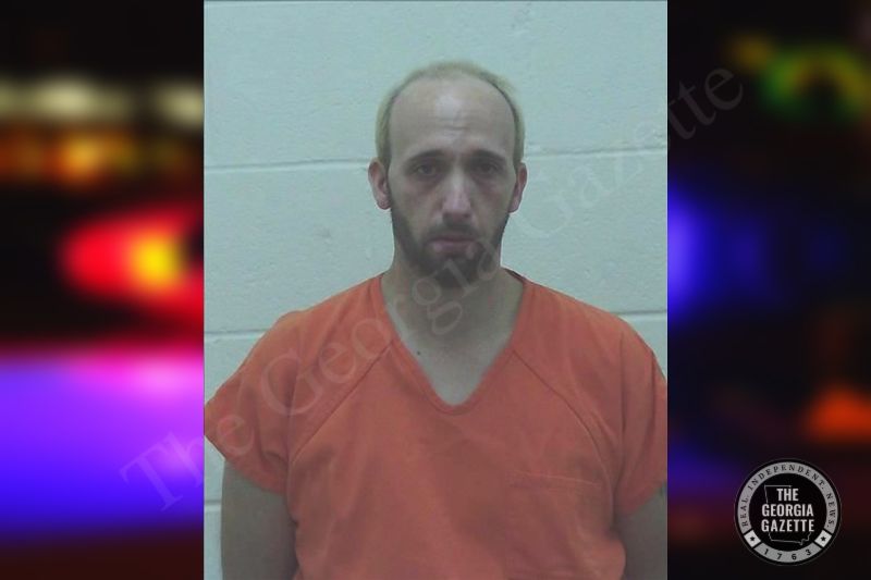 David Batson — Worth County Jail Bookings