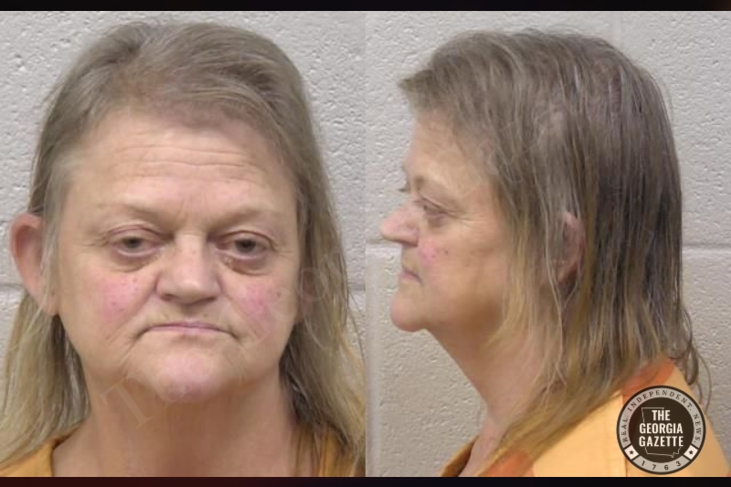 Cynthia Fowler — Paulding County Jail Bookings