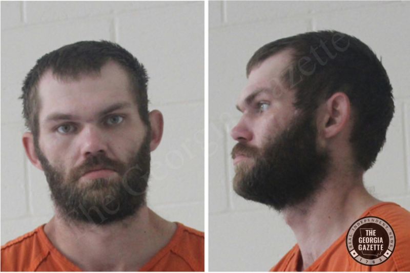 Michael Francis — Houston County Jail Bookings