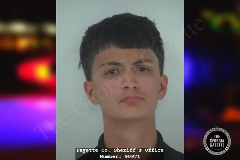 Alexis Gallegos De Santos — Fayette County Jail Bookings