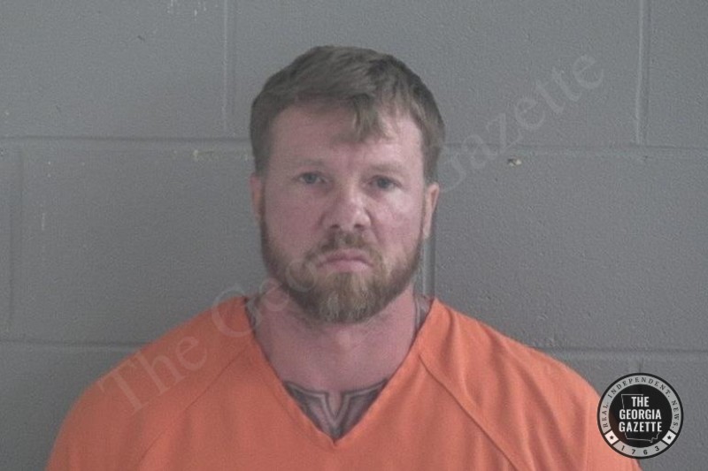 Ashley Hendricks — Brantley County Jail Bookings