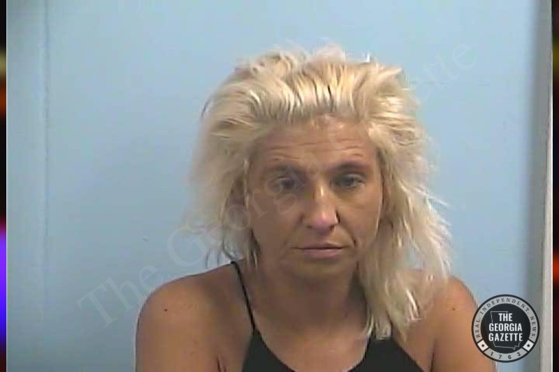 Jessica Hamilton — Dawson County Jail Bookings