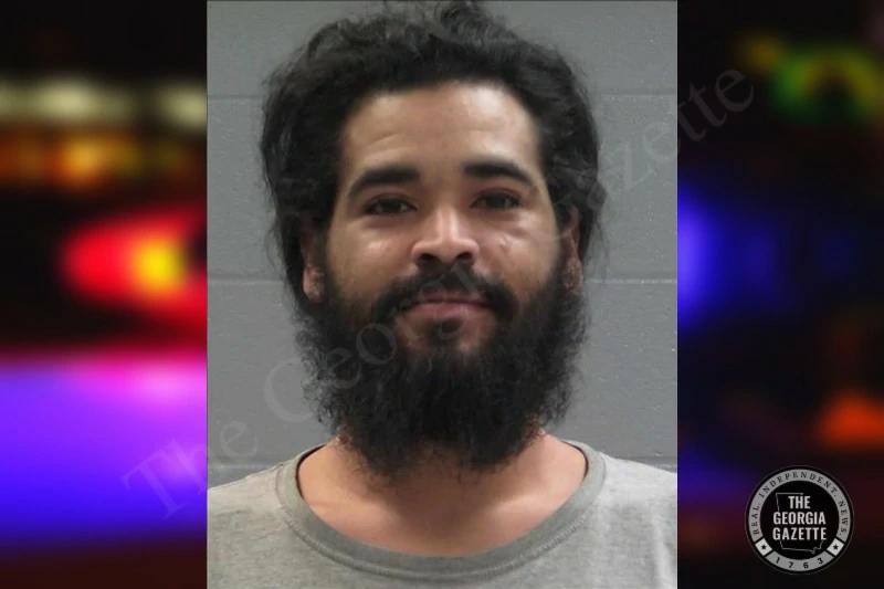 Brandon Jones — Baldwin County Jail Bookings