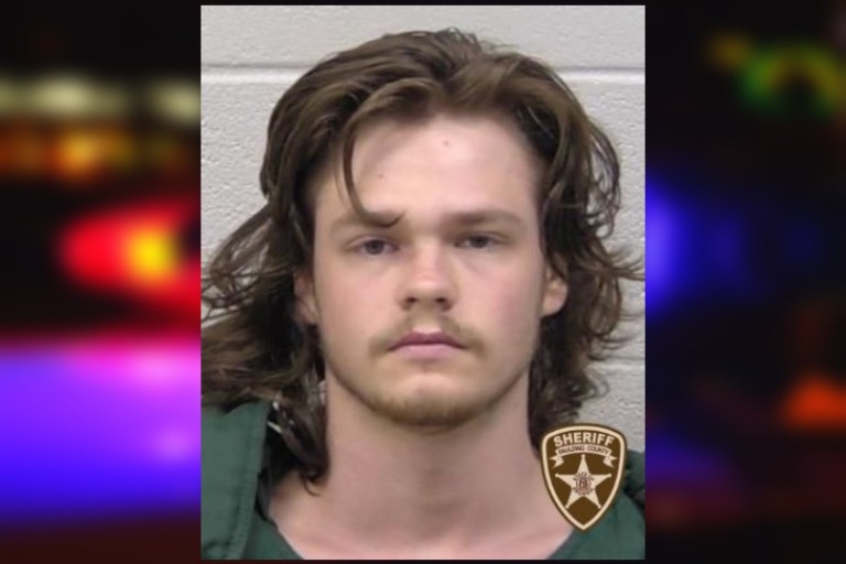 Police: 20-year-old Paulding County man charged in 4-year-old sister’s ...