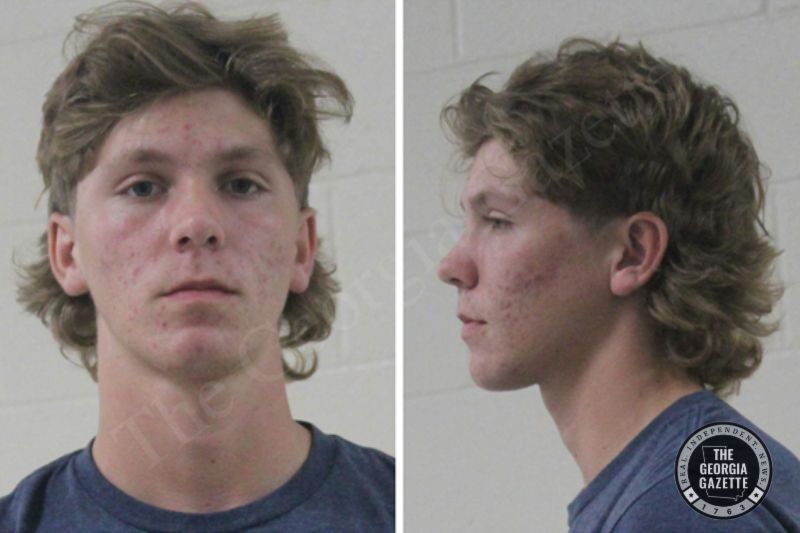 Brandon Mercer — Houston County Jail Bookings