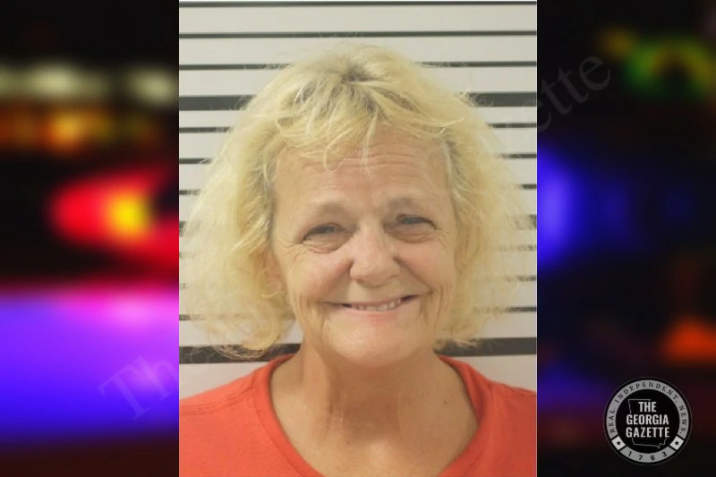 Brenda Perkins — Toombs County Jail Bookings