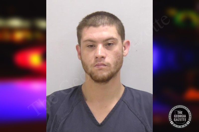 Dylan Palmer — Bartow County Jail Bookings