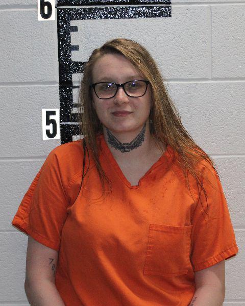Courtney Plott — Murray County Jail Bookings