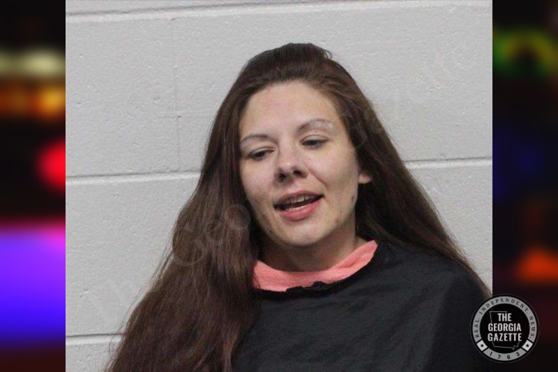 Ashley Sosebee — Habersham County Jail Bookings