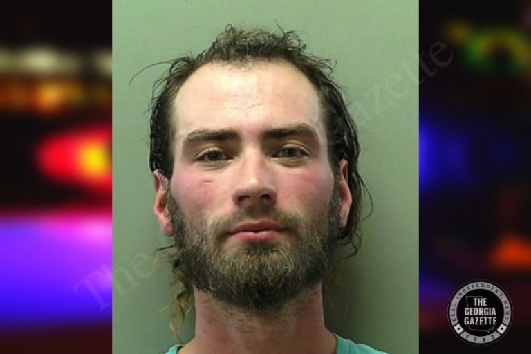 Jacob Skinner — Towns County Jail Bookings