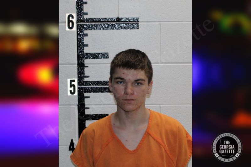 Matthew Sosebee — Murray County Jail Bookings
