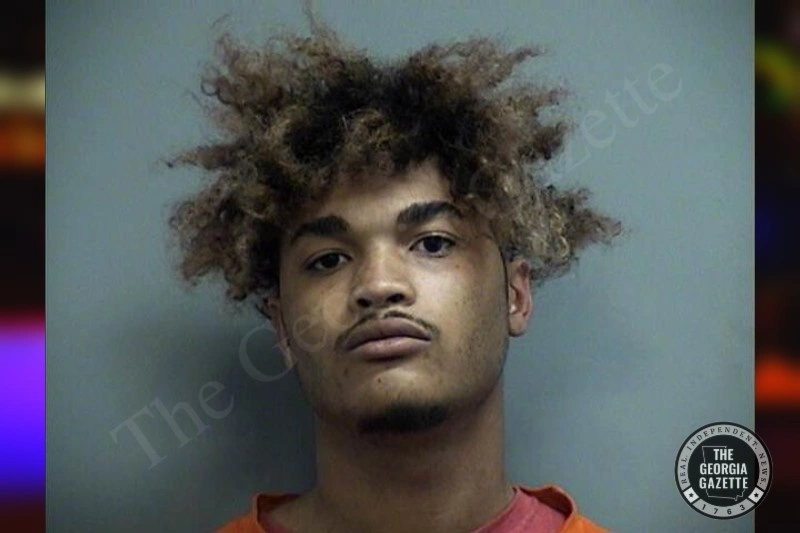 Aylijah Taylor Effingham County Jail Bookings