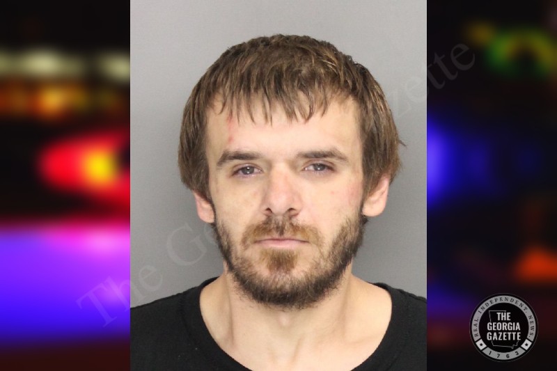 Dustin Weaver — Cobb County Jail Bookings