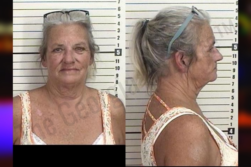 Elizabeth Addison — Camden County Jail Bookings