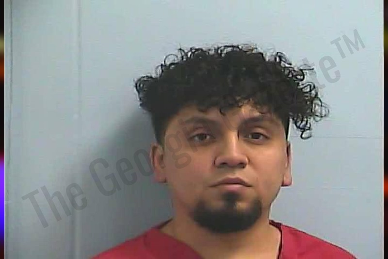 Edgar Aleman — Dawson County Jail Bookings