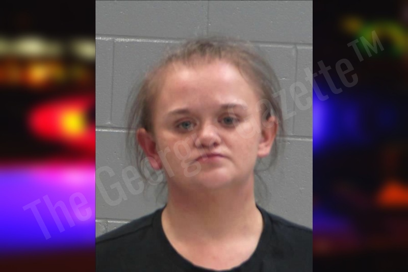 Shelly Amerson — Baldwin County Jail Bookings