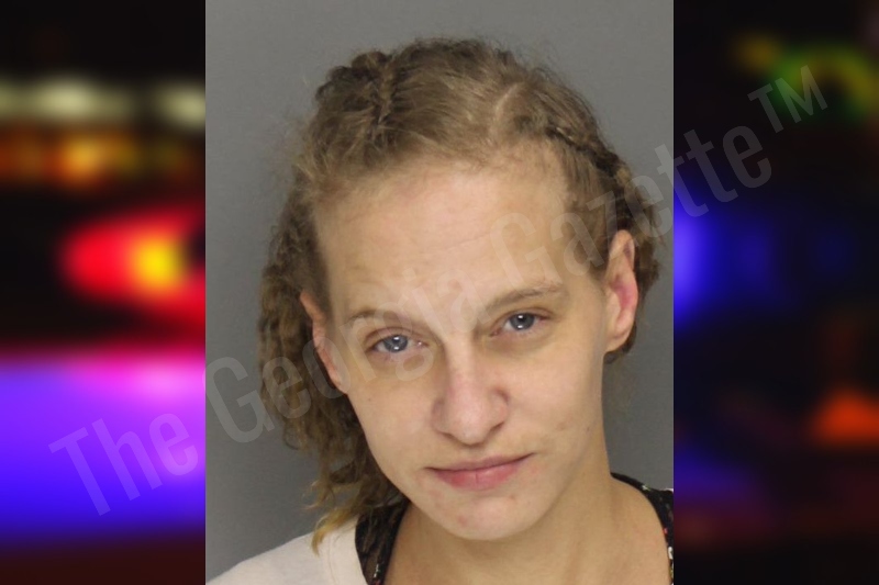 Kristan Boswell — Cobb County Jail Bookings