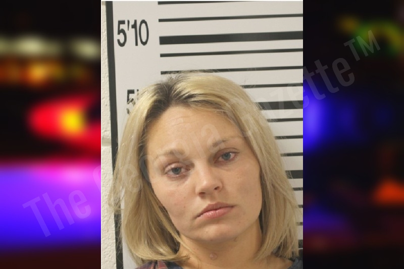 Amber Braddock — Toombs County Jail Bookings