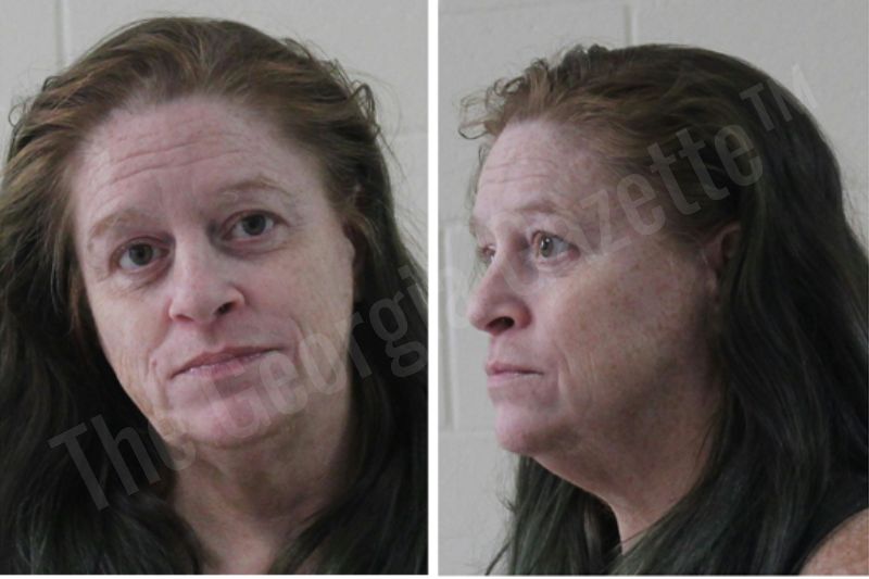 Francis Baird — Houston County Jail Bookings