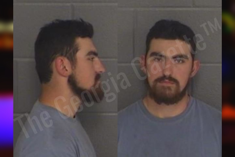 William Barnes — Barrow County Jail Bookings