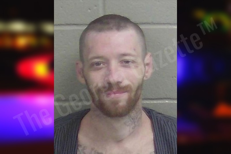 Michael Blocker — Wayne County Jail Bookings