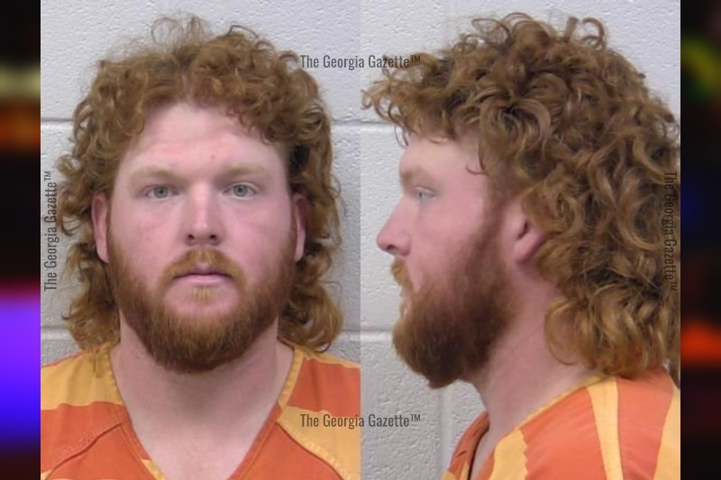Andrew Brice — Paulding County Jail Bookings
